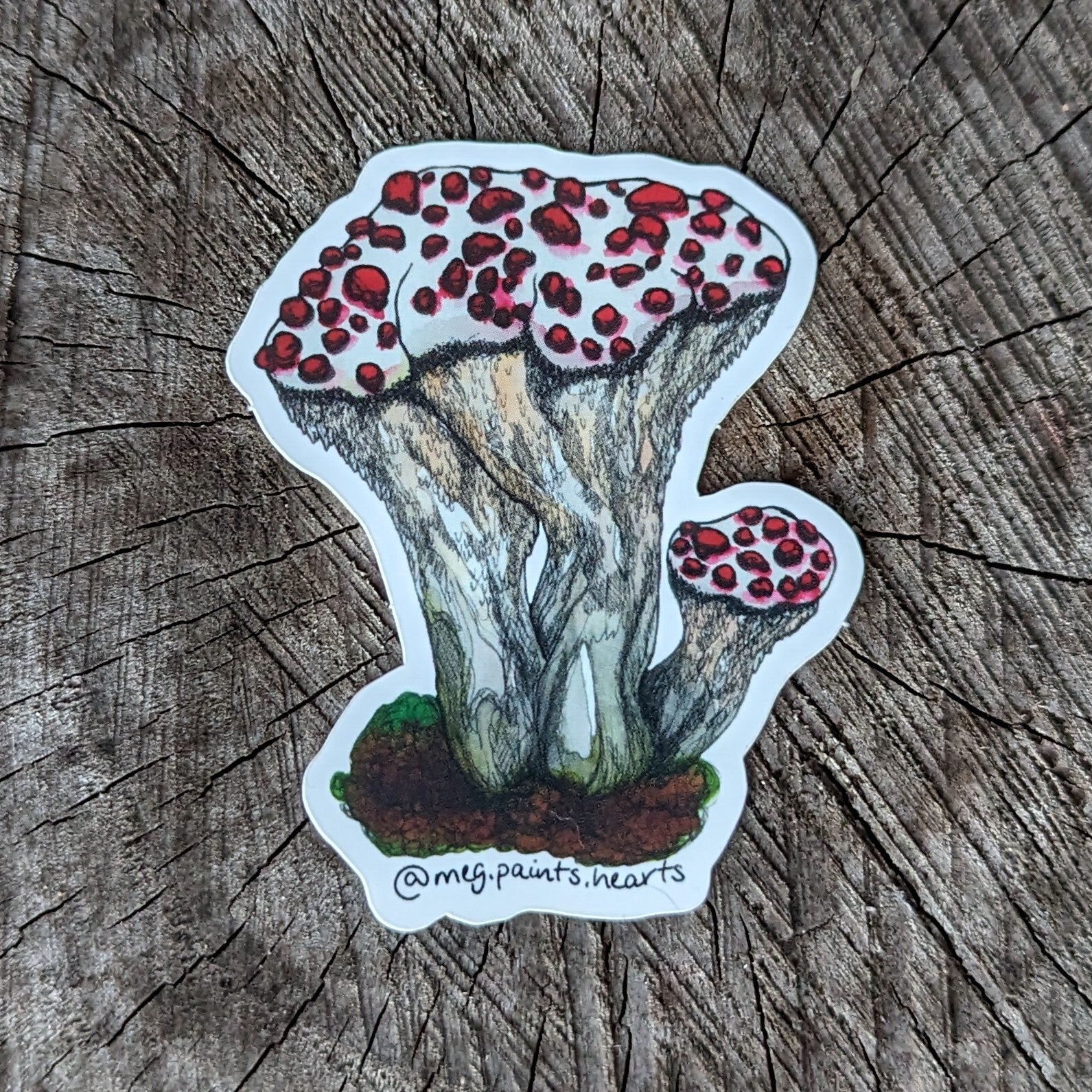 Bleeding Tooth Fungus Sticker – Meg Paints Hearts
